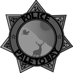 Paleto Bay Police pd - Rockstar Games